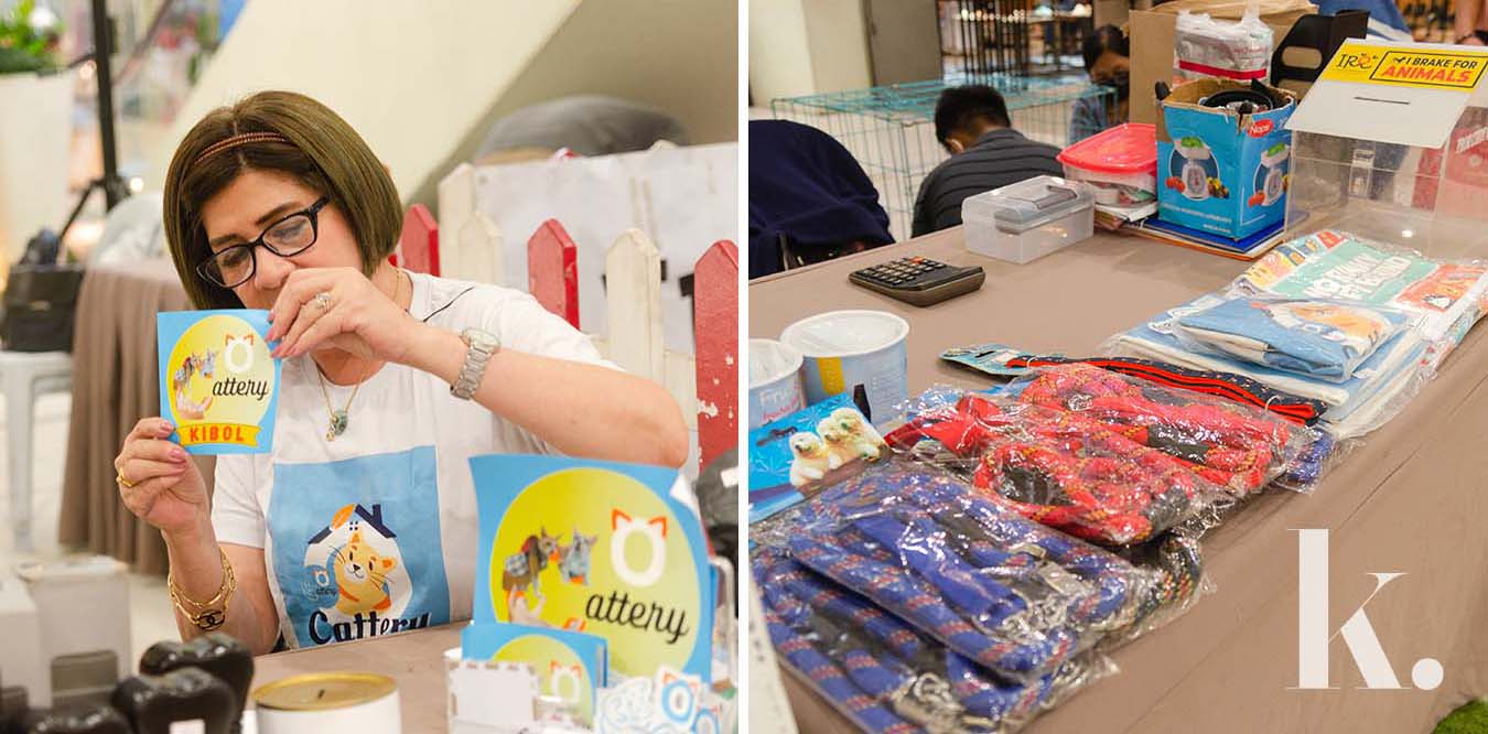 Island Rescue Organization Proves Every Dog Deserves A Furever Home | Keeta