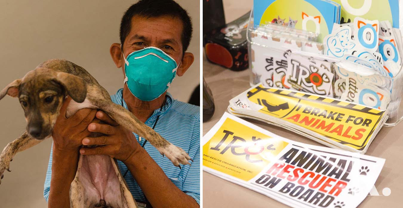 Island Rescue Organization Proves Every Dog Deserves A Furever Home | Keeta