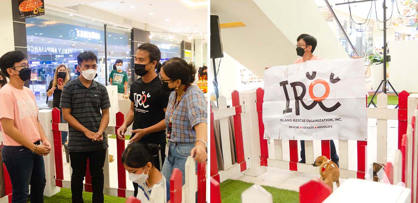 Island Rescue Organization Proves Every Dog Deserves A Furever Home | Keeta